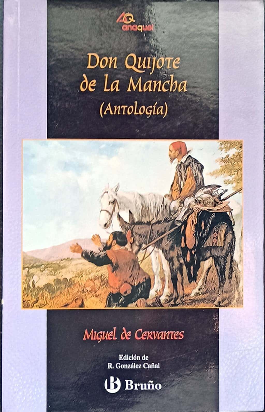 Descubre la épica aventura de Don Quijote: La obra maestra de Cervantes ...